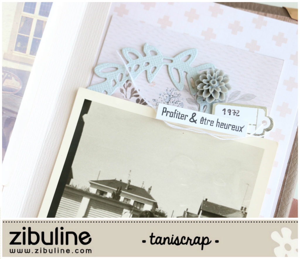 Mini album « Souvenir de famille » – Taniscrap – L'univers de Zibuline