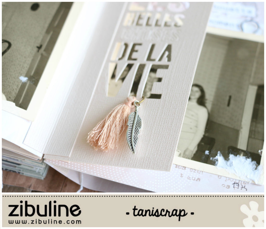 Mini album « Souvenir de famille » – Taniscrap – L'univers de Zibuline